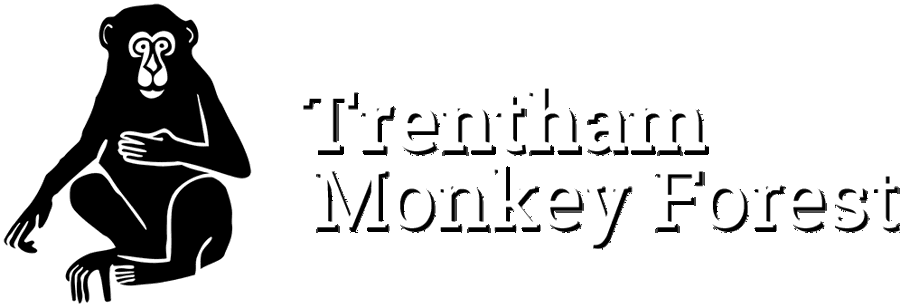Plan Your Visit | Trentham Monkey Forest