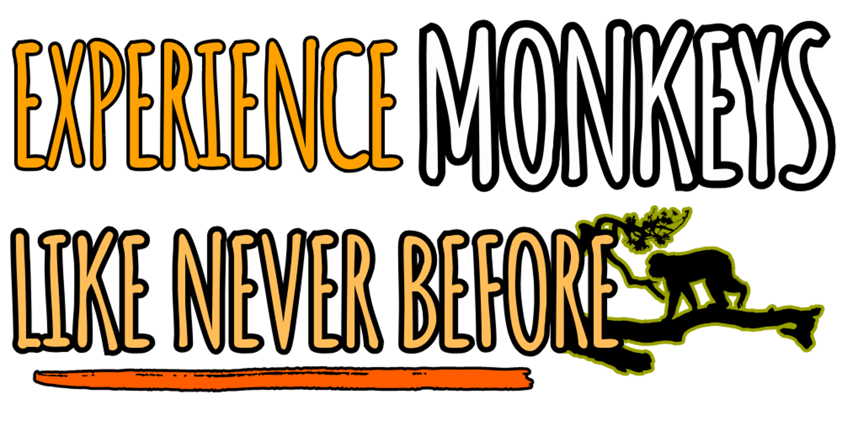 Morning with Monkeys - VIP Monkey Experience