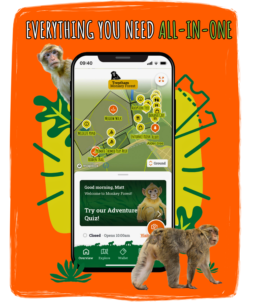 Monkey Forest App