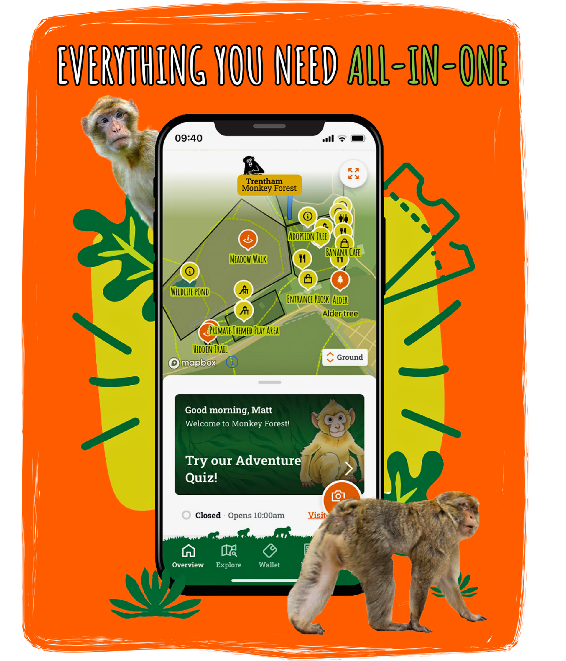 Monkey Forest App