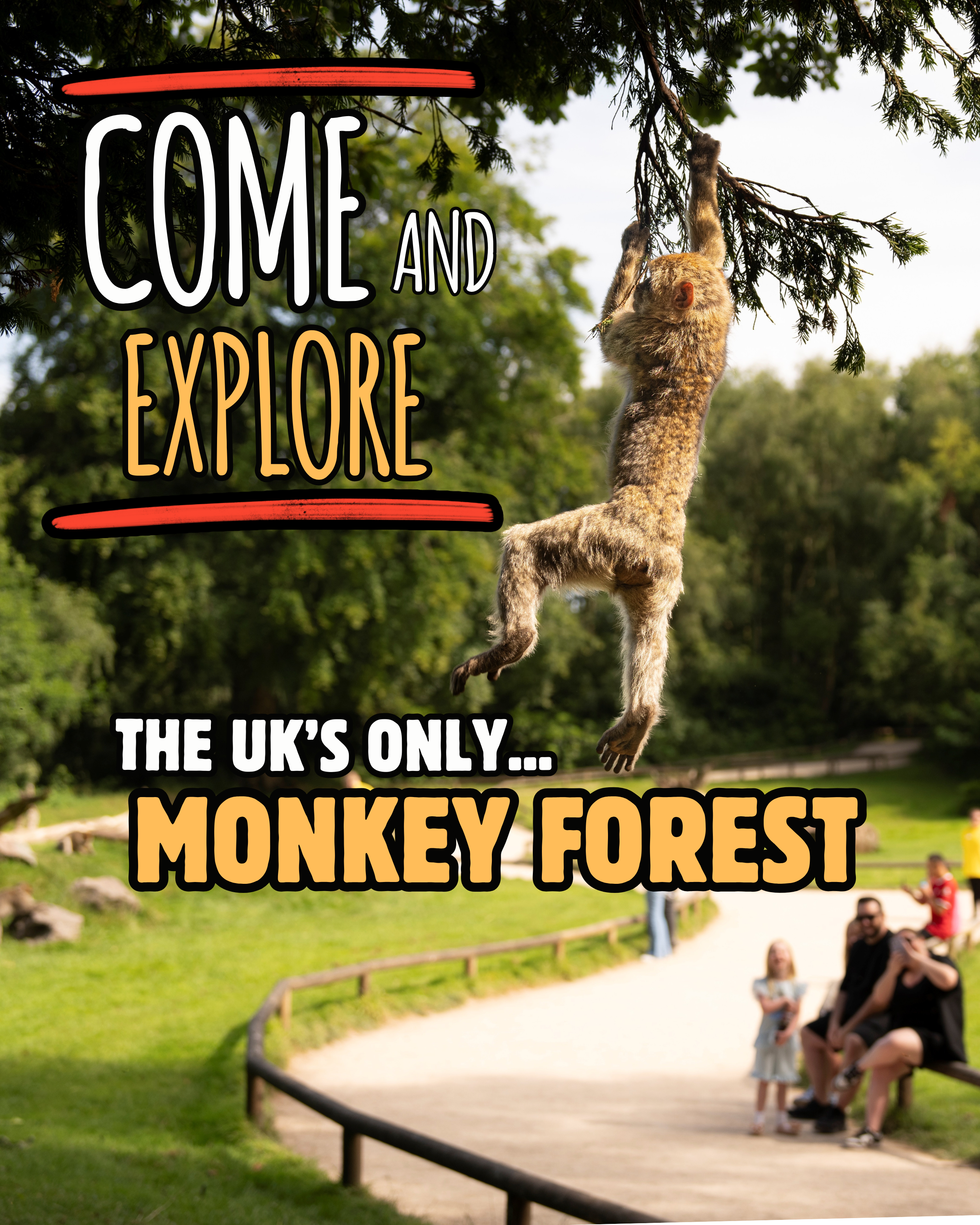 Trentham Monkey Forest | Unique Family Day Out with Monkeys
